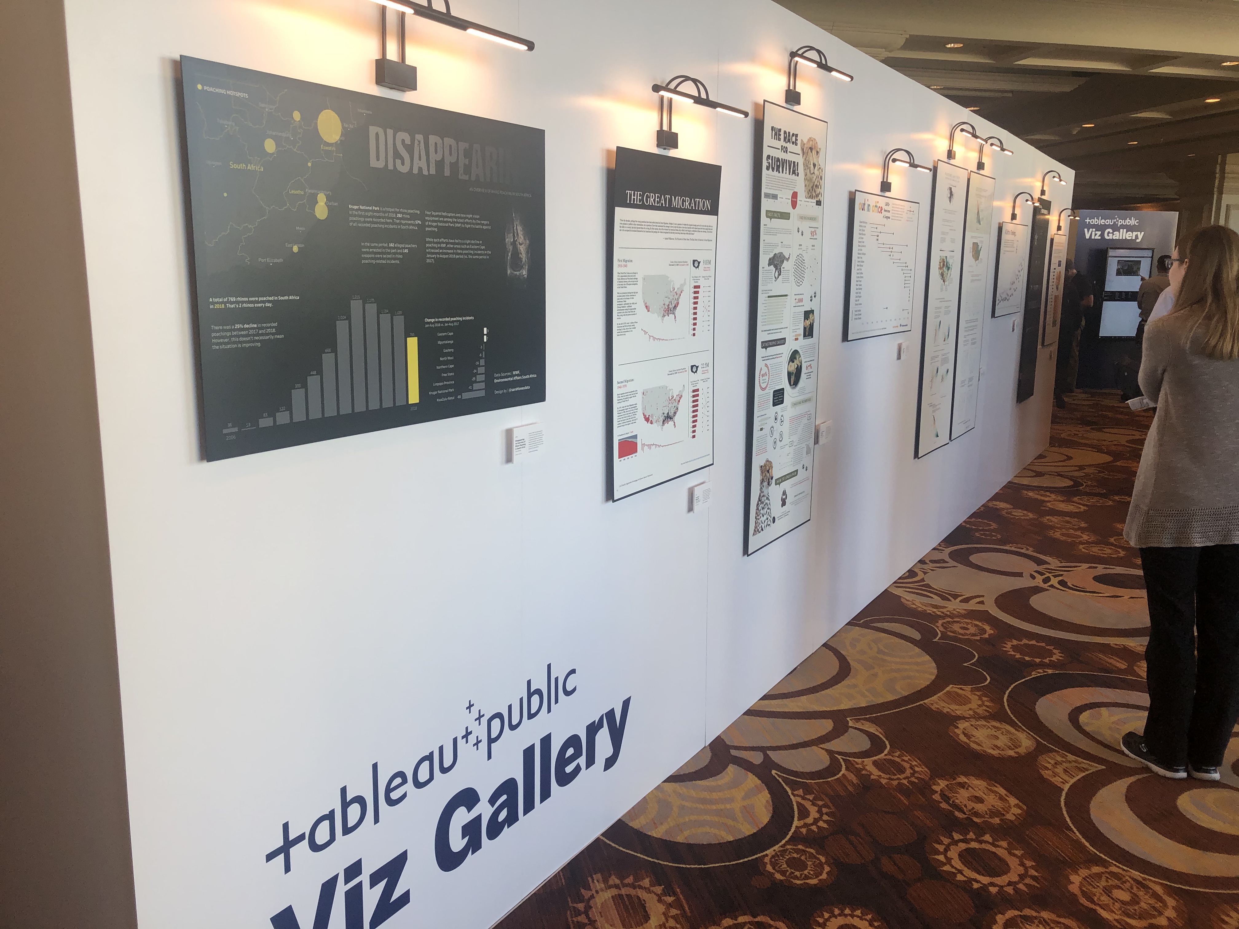 TC_Viz Gallery – Sarah Loves Data